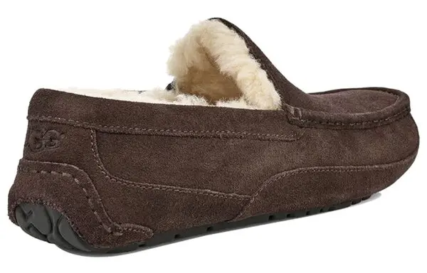 UGG Ascot Slipper Shoe - Brown