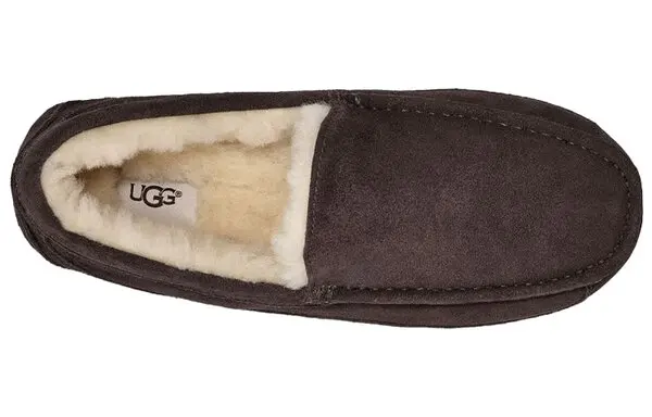 UGG Ascot Slipper Shoe - Brown