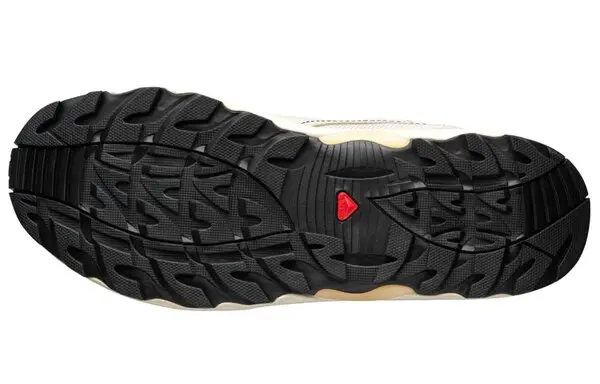 SALOMON Raid Wind Advanced Sneakers - Beige