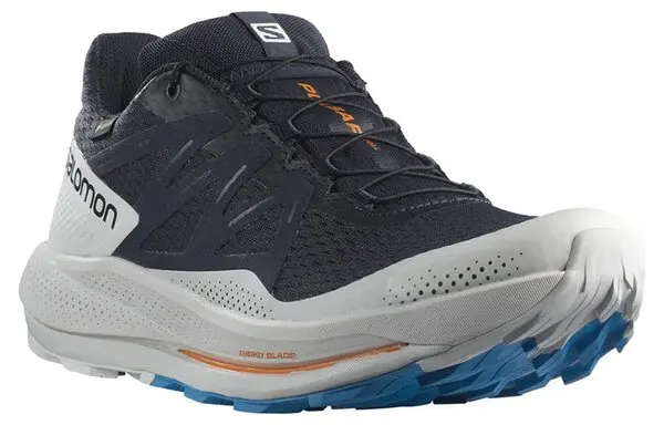 SALOMON Pulsar Trail Gtx