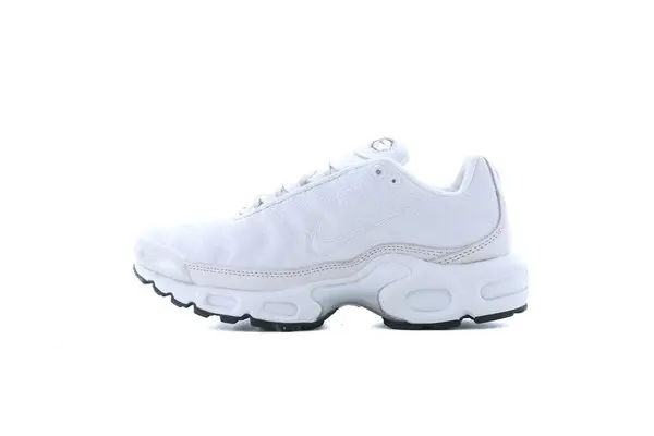 Nike Max Plus Sneakers