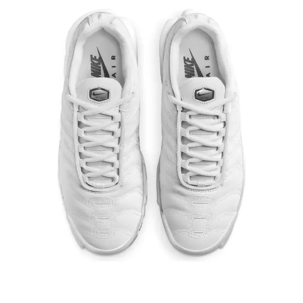 Nike Max Plus Sneakers