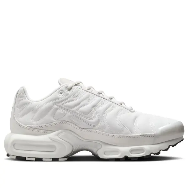 Nike Max Plus Sneakers