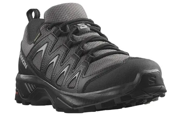 SALOMON X Braze Gtx Low Top Sneakers