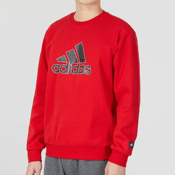 Adidas Crewneck Sweatshirt With Graphic Logo