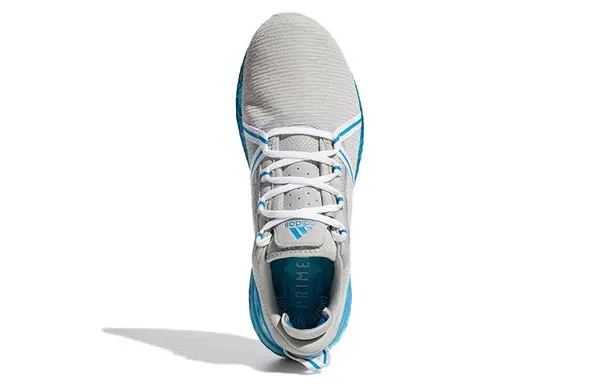 Adidas Solarthon Primeblue Golf Shoes - Grey/blue