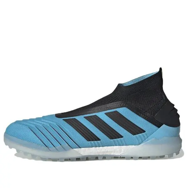 Adidas Predator Tan 19 'blue Black - Blue/black