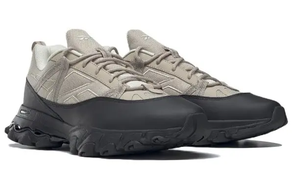 REEBOK Dmx Trail Shadow Sneakers