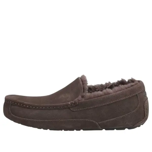UGG Ascot Slipper - Dusted Cocoa/brown