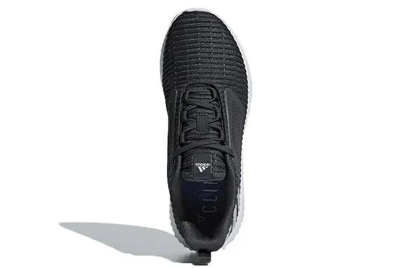 Adidas Climacool Low Top Sneakers