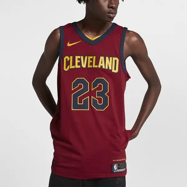 Nike Lebron James Cleveland Cavaliers Icon Edition Authentic Jersey