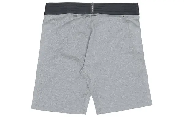 Nike Pro Metallic Training Tight Shorts