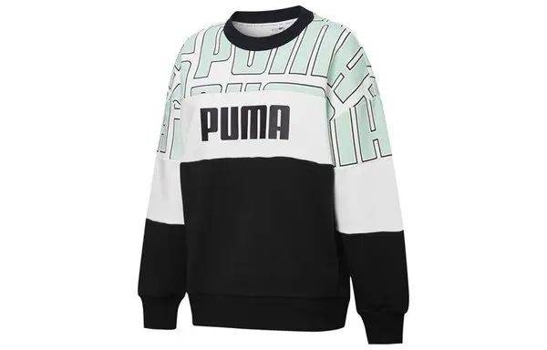 PUMA Colourblock Sweatshirt