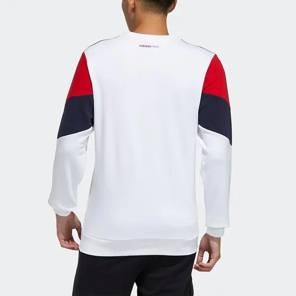 Adidas Color Block Pullover With Graphic Detail