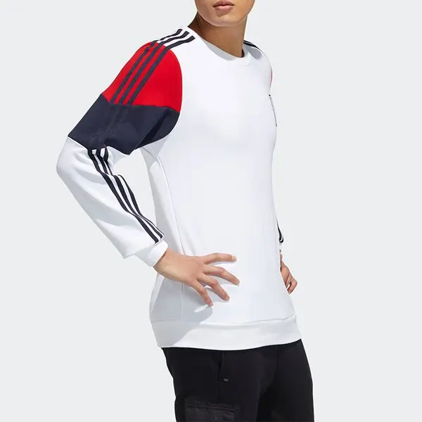 Adidas Color Block Pullover With Graphic Detail