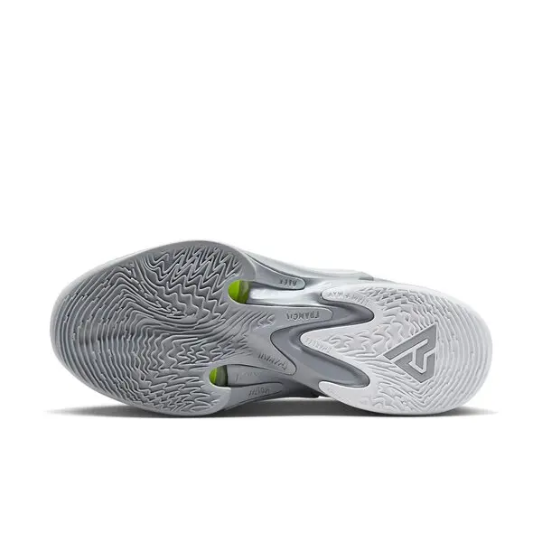 Nike Zoom Freak Tb "wolf " Low Top Sneakers - Grey