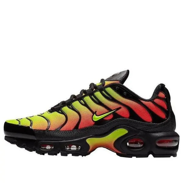 Nike Max Plus Sneakers - Multi-color