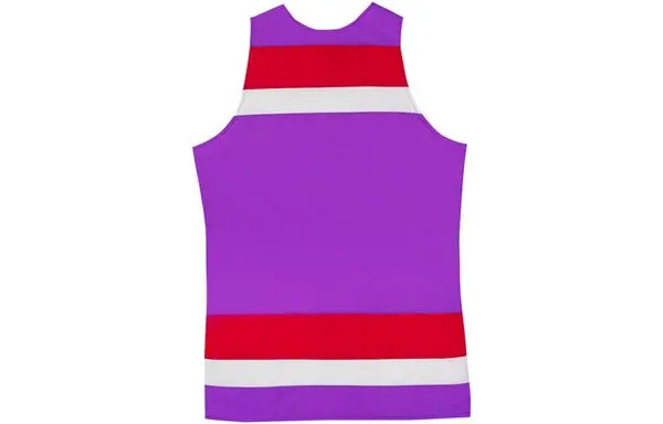 Mitchell & Ness Nba Toronto Raptors Hardwood Classics Striped Basketball Vest