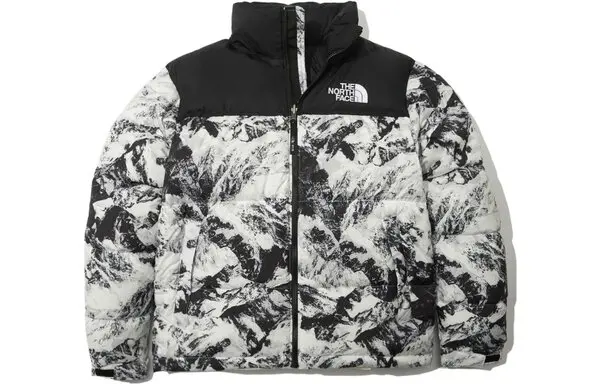 The North Face 1996 Novelty Nuptse Jacket