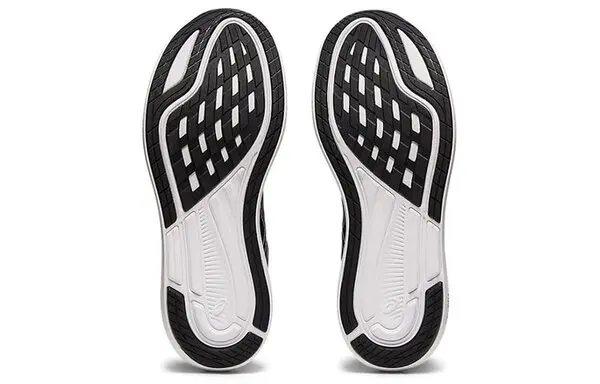 Asics Evoride 2 Sneakers