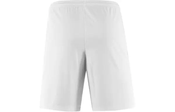 Nike Dri-fit Challenger Training Shorts
