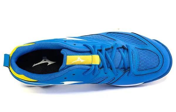 Mizuno Dynablitz Volleyball Shoes