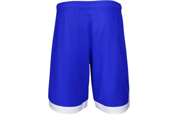 Under Armour Project Rock Iron Paradise Mesh Shorts