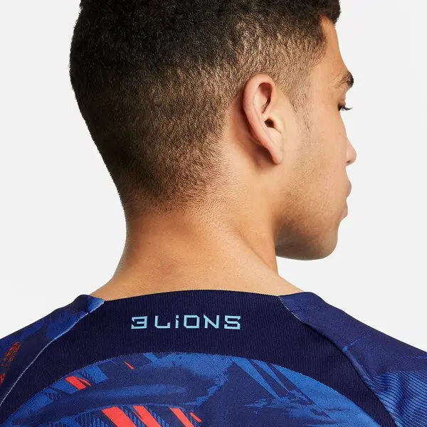 Nike England Dri-fit Graphic Print Soccer Top