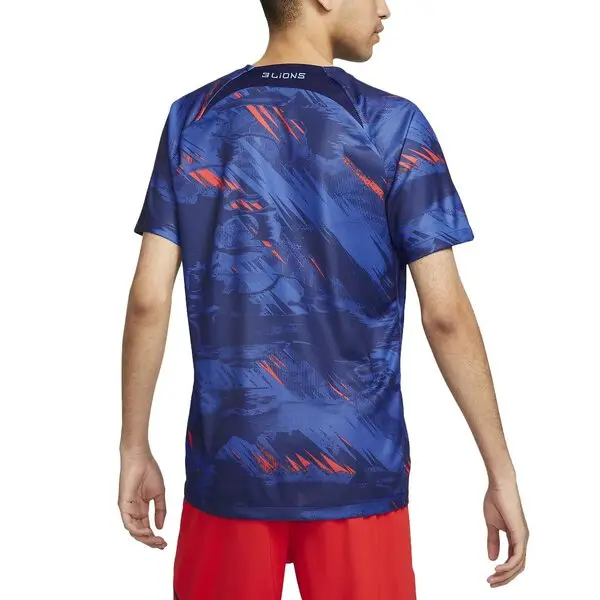 Nike England Dri-fit Graphic Print Soccer Top