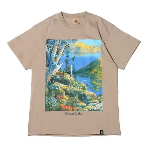 Nike Crater Lake Short Sleeve T-shirt - Khaki