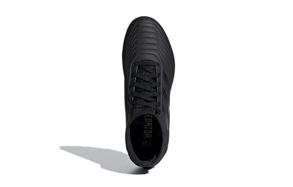 Adidas Predator 19.3 Fg Football Boots