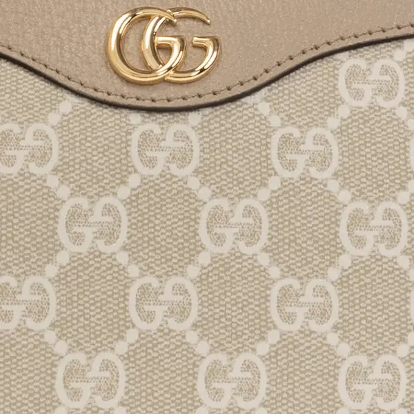 Gucci Ophidia Small Handbag - Beige/white
