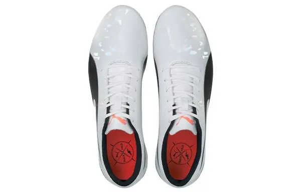 PUMA Evospeed Electric Track Spikes - Gray/black/red