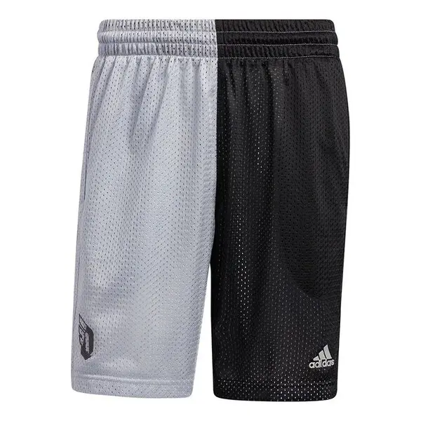 Adidas Dame Vis Basketball Colorblock Shorts - Blackgray