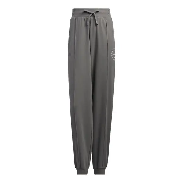 Adidas Solid Color Logo Embroidered Pants Asia Sizing - Grey