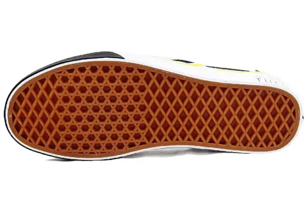 VANS X National Geographic Classic Slip-on 'then Now Glacier - Black/white