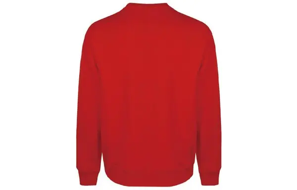 CONVERSE Crewneck Sweatshirt With Graphic Logo