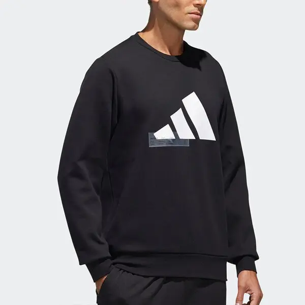 Adidas Graphic Logo Pullover