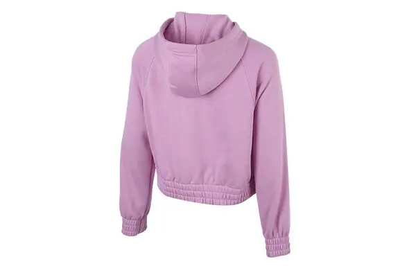 Nike Cropped Pullover Hoodie