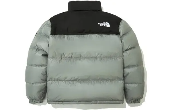 The North Face Fw22 Novelty Nuptse Down Jacket - None