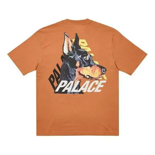 PALACE P-3-k-9 T-shirt - Caramel