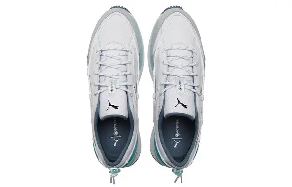 PUMA Sports Casual Shoes - Gray/blue