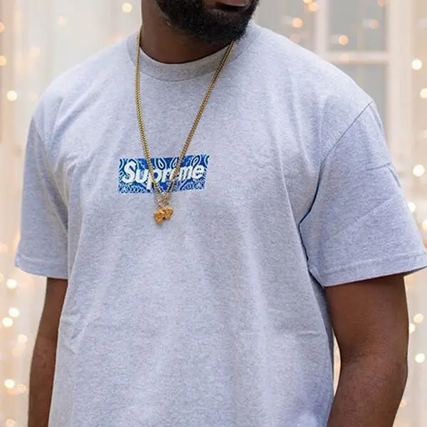 Supreme Fw19 Week 17 Bandana Box Logo Tee Cashew Short Sleeve Gray - Grey