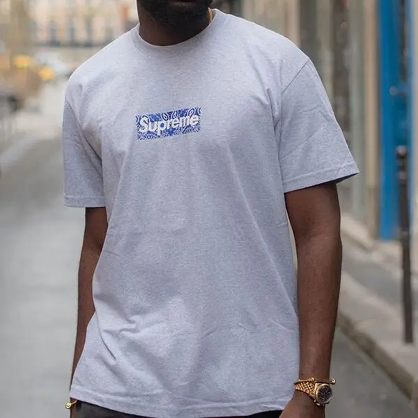 Supreme Fw19 Week 17 Bandana Box Logo Tee Cashew Short Sleeve Gray - Grey