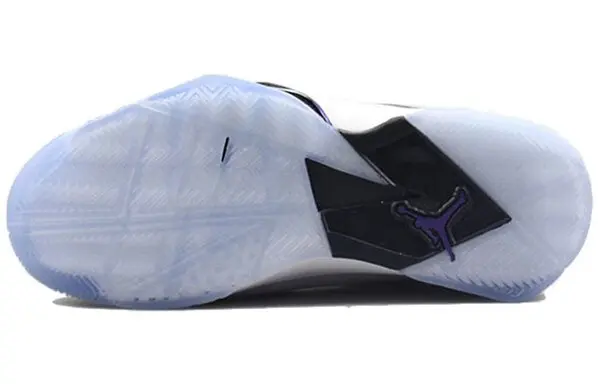 JORDAN True Flight Sneakers - Wolf Grey/purple