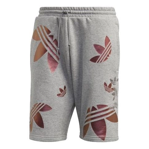 Adidas Originals Big Trefoil Logo Shorts - Grey