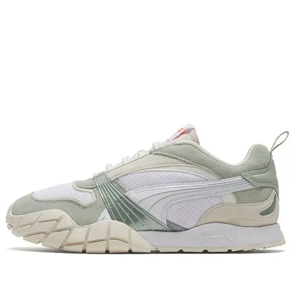 PUMA Kyron "wild Beasts" Aqua Grey Low Top Sneakers