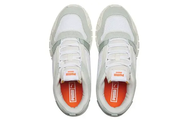 PUMA Kyron "wild Beasts" Aqua Grey Low Top Sneakers - White/grey