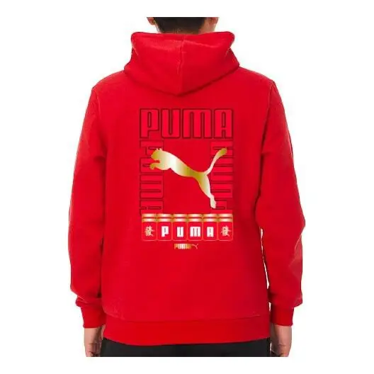 PUMA Series Back Printing Sports Pullover