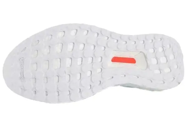 Adidas Ultraboost Casual Low Top Sneakers